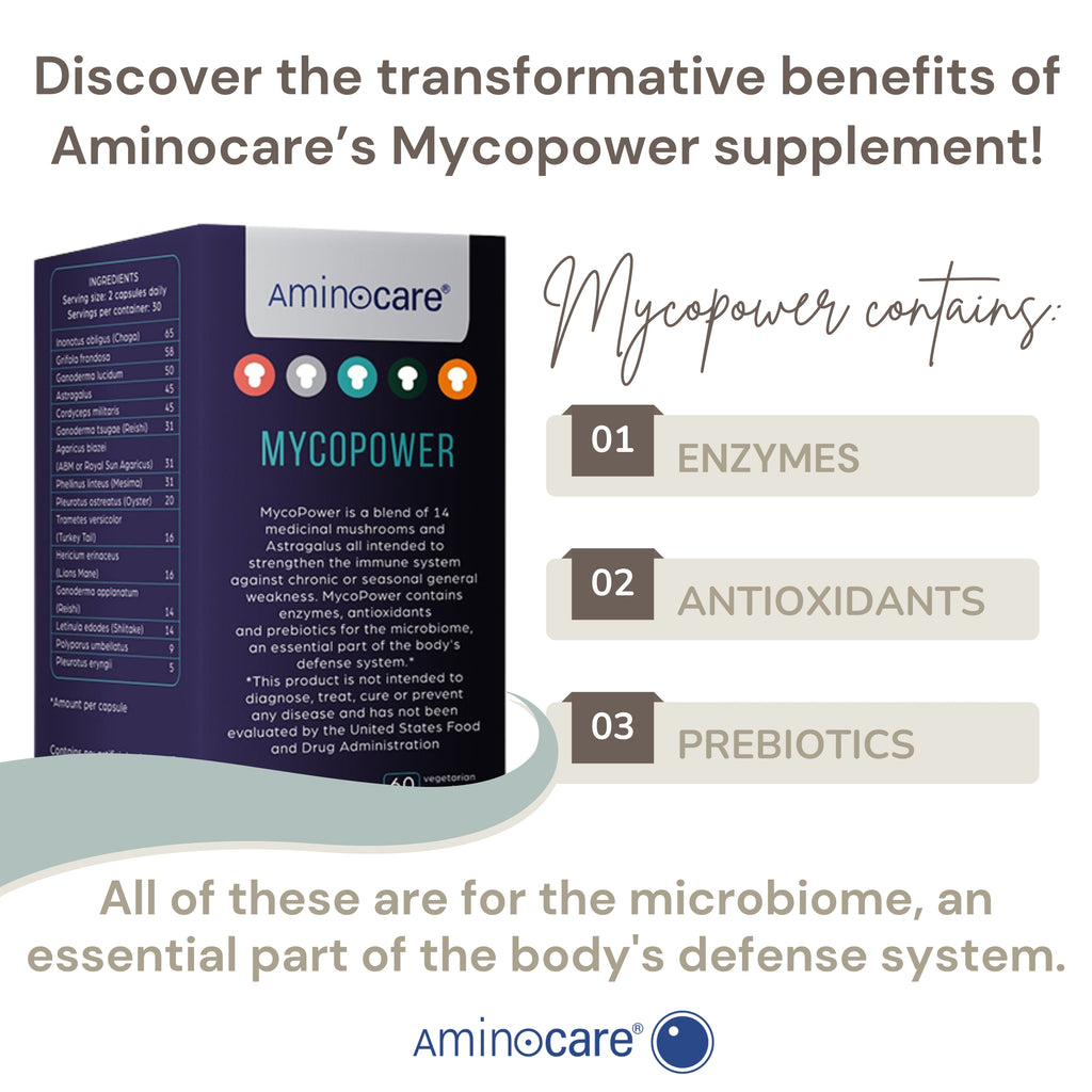 Discover the Benefits of Mycopower Medicinal Mushrooms Supplement ...