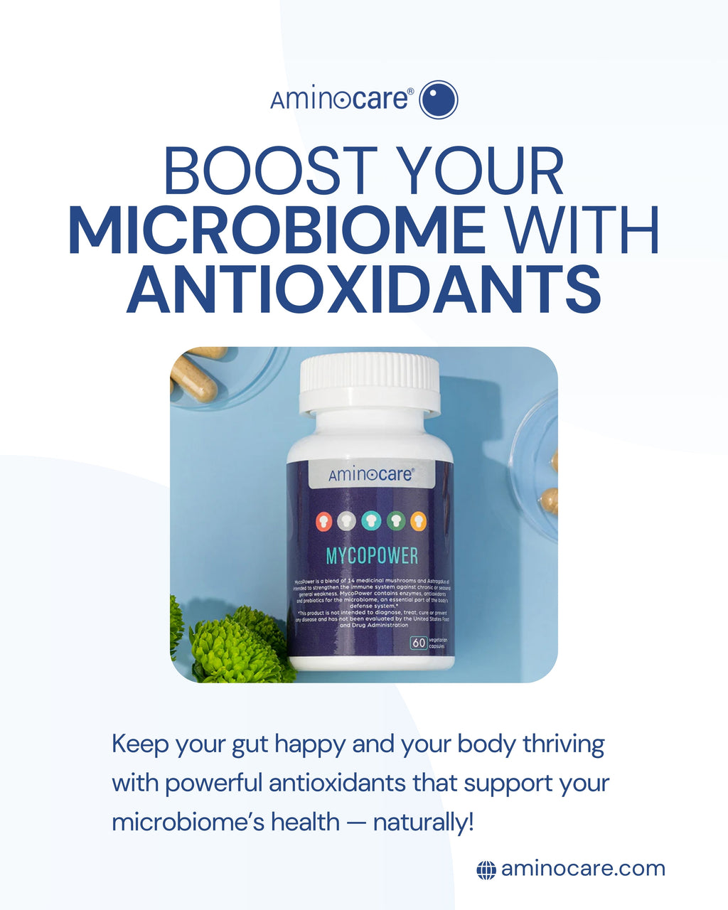 Boost Your Microbiome With Antioxidants | Aminocare – Aminocare® Products