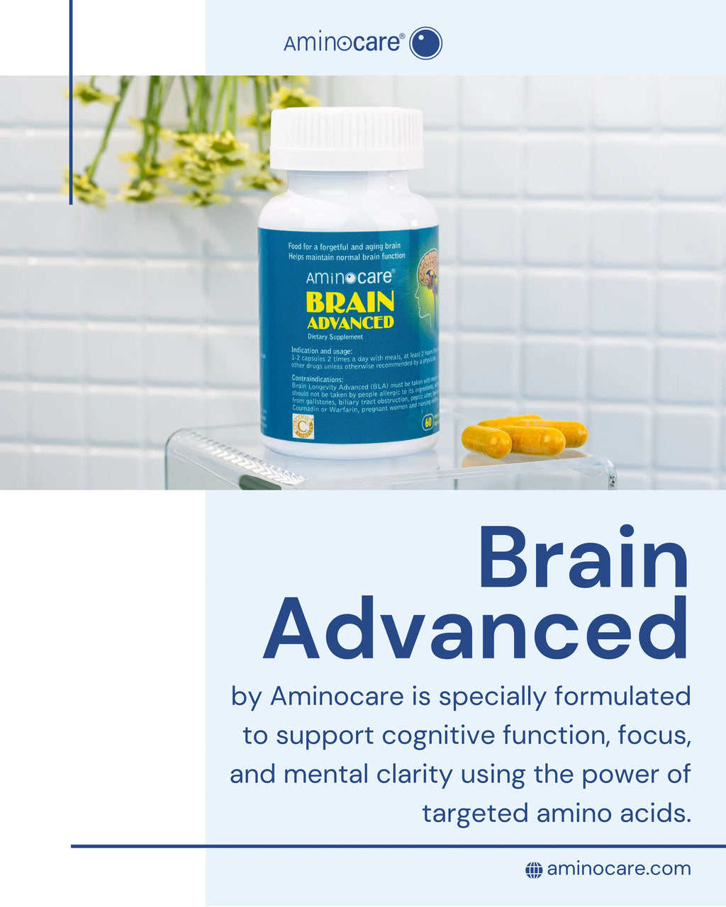 Brain Advanced: Fuel Your Cognitive Function – Aminocare® Products